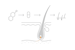 AGAとは何の略？意味と症状の基礎知識 | 薄毛（AGA）の原因・検査ならAGAメディカルケアクリニック